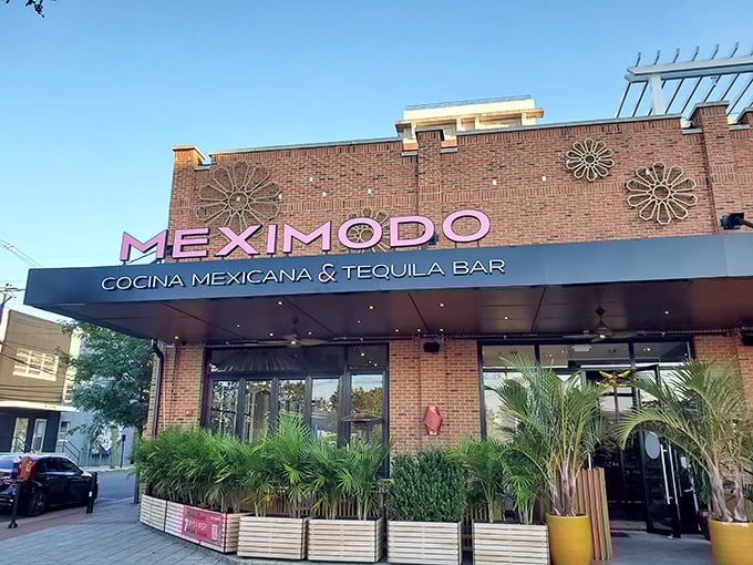 Meximodo's striking exterior combines brick warmth with modern flair. Those metal sunburst decorations aren't just for show&mdash;they're foreshadowing the flavor explosion waiting inside.