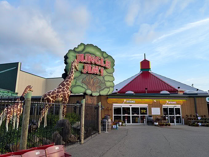 Welcome to grocery paradise! Jungle Jim's iconic entrance, complete with life-sized giraffe, promises an adventure that's anything but your average shopping trip.