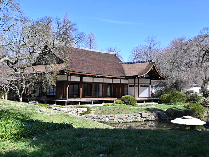 The quintessential Japanese house sits like a meditation master by the pond, its curved roof seemingly nodding in approval at your decision to visit.