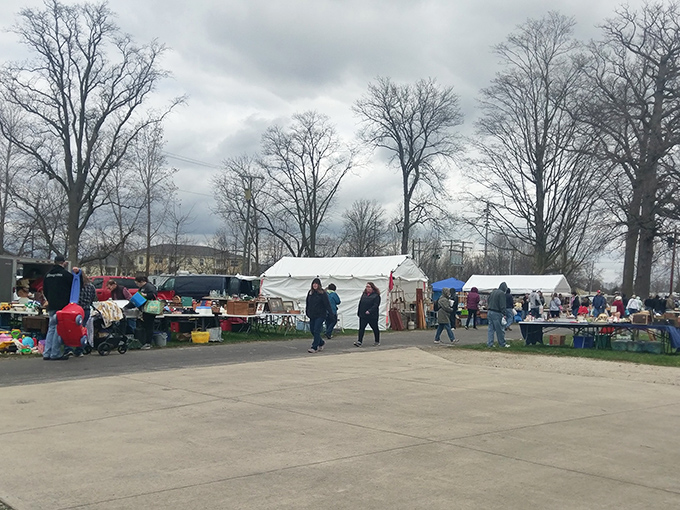 The treasure hunt begins! Vendors and shoppers mingle under cloudy Ohio skies at the Seneca County Fairgrounds, where one person's castoffs become another's prized possessions.