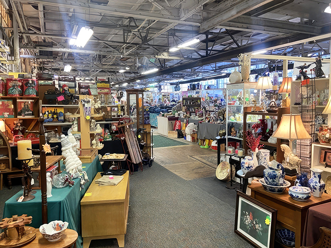 Treasure islands as far as the eye can see! Aisles of carefully curated collectibles create a maze of possibilities for the curious explorer.