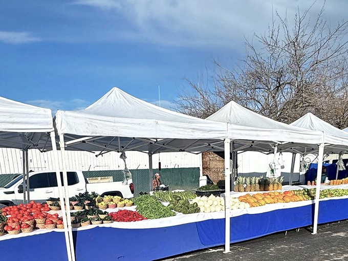 Where treasure hunting meets open-air adventure&mdash;Madera Flea Market's sprawling aisles beckon with promises of undiscovered gems and handcrafted wonders.