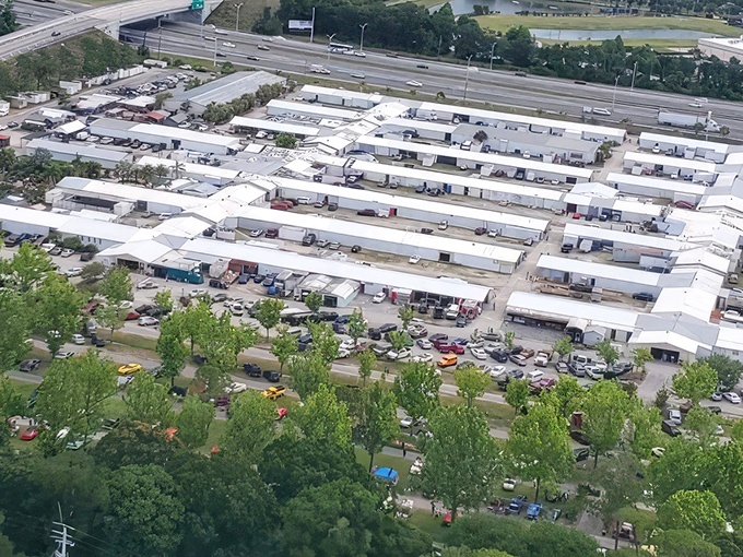 Treasure hunters navigate a kaleidoscope of beach-themed souvenirs. Like an archaeological dig, but with fewer mummies and more flamingo figurines.