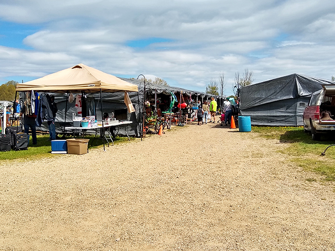 The modern treasure hunt begins! Rows of canopied vendors stretch across Reits Flea Market, each tent a potential gold mine of undiscovered bargains.