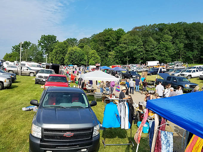 The ultimate treasure hunter's playground spreads across acres of Michigan countryside. Early birds get the deals while late risers get the parking headaches.