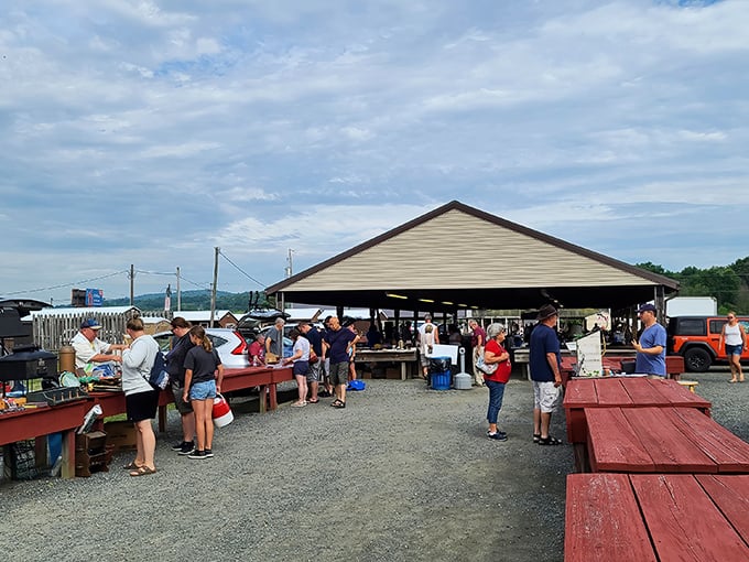 The covered pavilion at Jake's Flea Market offers treasure hunters shelter from both sun and rain, creating the perfect backdrop for Sunday morning discoveries.