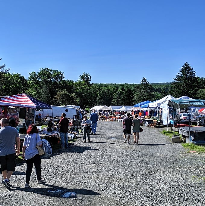 Treasure hunting paradise under blue Pennsylvania skies. The gravel pathways of Blue Ridge Flea Market lead to discoveries waiting around every corner.