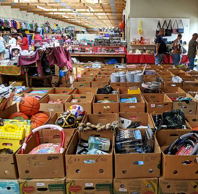 Treasure hunters paradise! Cardboard boxes overflow with affordable finds while shoppers navigate the labyrinth of vendor stalls in search of their next great discovery.
