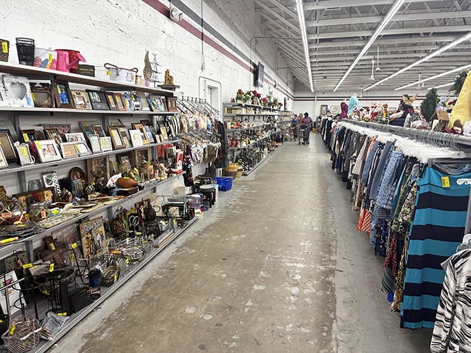 The unassuming storefront of World Thrift belies the wonderland of treasures within. Like a museum where everything's for sale, but without the security guards or gift shop markups.
