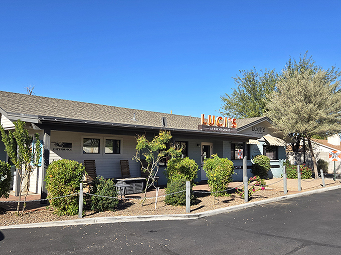 Luci's welcoming exterior feels like that moment when you discover your favorite aunt has been hiding her cooking talents all along.