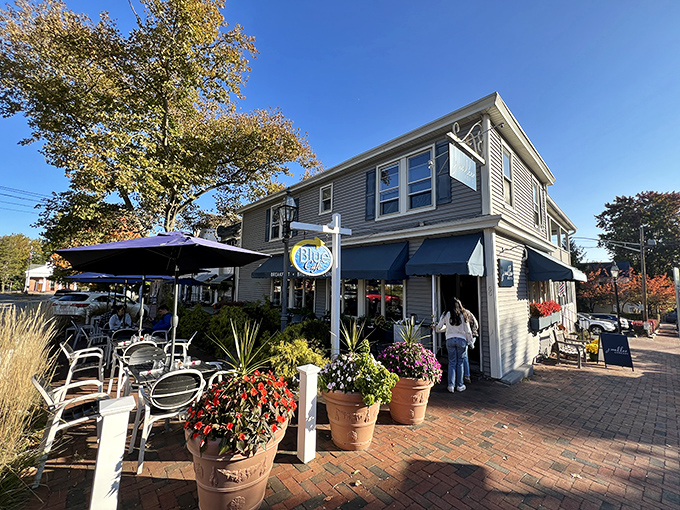 The welcoming blue awnings and vibrant potted plants make Blue Cafe's exterior as inviting as a friend's porch on a perfect summer day.