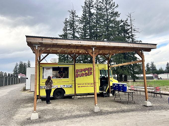 The bright yellow Bumper Burger food truck stands like a culinary lighthouse, beckoning hungry travelers under its rustic wooden shelter. Simple setting, extraordinary flavors.