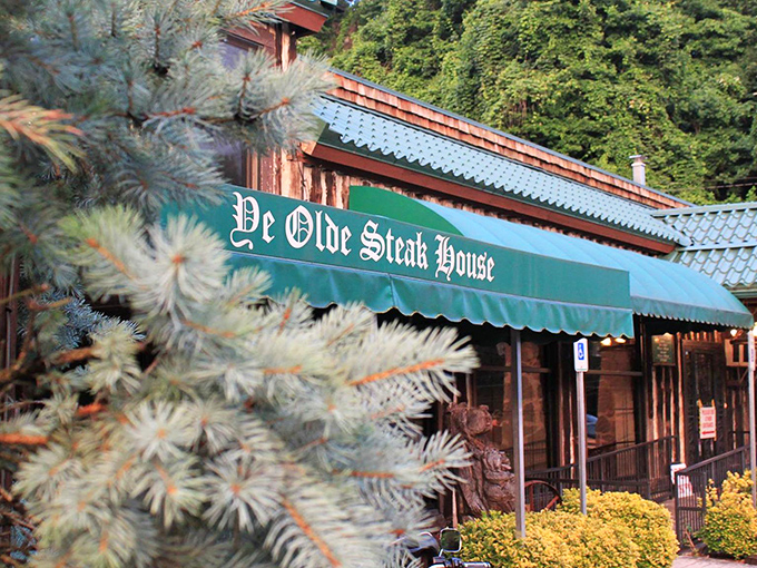 The stone facade and illuminated sign of Ye Olde Steak House beckons like a carnivore's lighthouse on a dark Tennessee night.