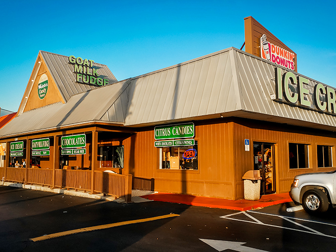 The iconic A-frame building of Webb's Candy stands like a sweet mirage on the Florida landscape, promising goat milk fudge and citrus delights inside.