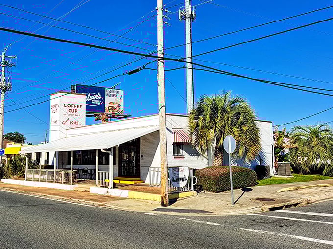 The unassuming exterior of Coffee Cup Restaurant stands like a time capsule amid Pensacola's palm trees, promising authentic flavors rather than Instagram moments.