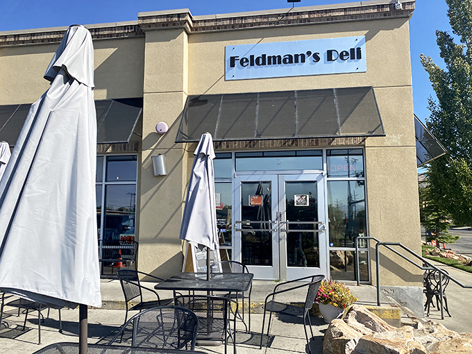 Feldman's unassuming exterior might fool you, but like finding a twenty in last year's winter coat, what awaits inside is pure unexpected joy.