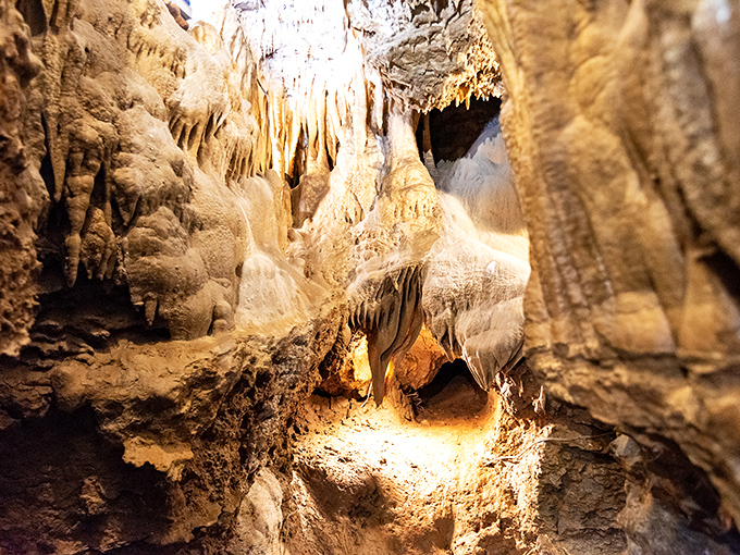 Nature's light show illuminates these ancient formations, creating a cathedral-like atmosphere that makes even non-believers whisper in reverence.