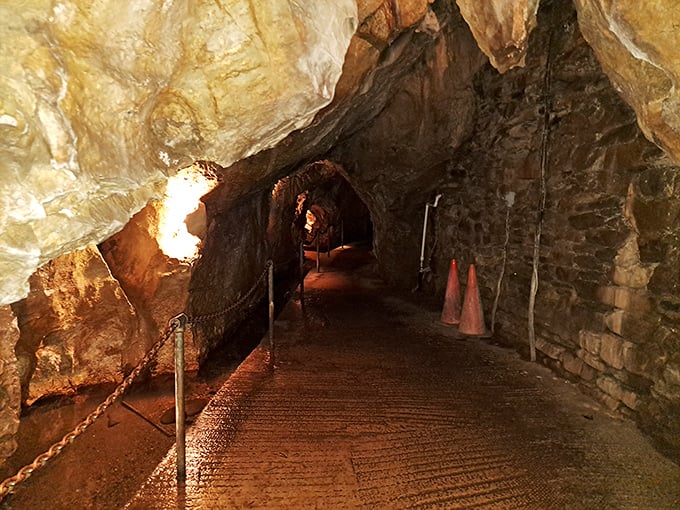 The illuminated pathway through Linville Caverns beckons visitors into a subterranean world where time is measured in millennia, not minutes.