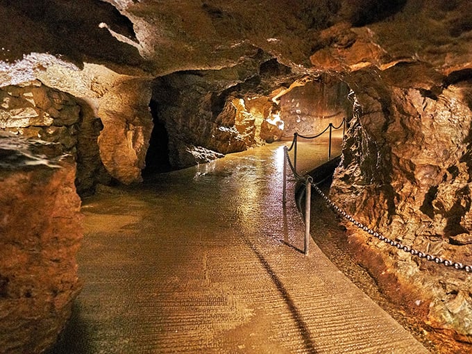 The illuminated pathway through Linville Caverns beckons visitors into a subterranean world where time is measured in millennia, not minutes.