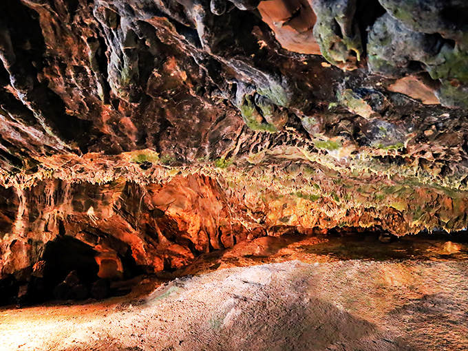 Nature's underground art gallery awaits at Indian Echo Caverns, where limestone formations tell stories millions of years in the making.