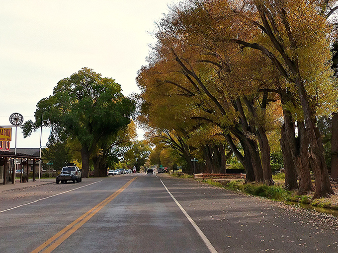 Nature's cathedral of cottonwoods creates the most magnificent main street canopy you'll ever drive under. Small-town magic at its finest.