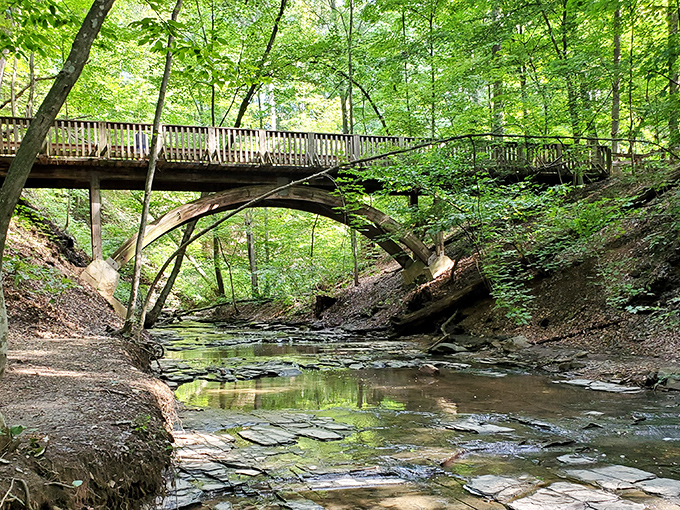 A wooden bridge arches gracefully over a serene creek, where sunlight dapples the water like nature's own stained glass window.