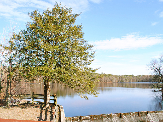 A wooden dock stretches into mirror-like waters, autumn's palette reflected perfectly. Nature's own infinity pool, Delaware-style.