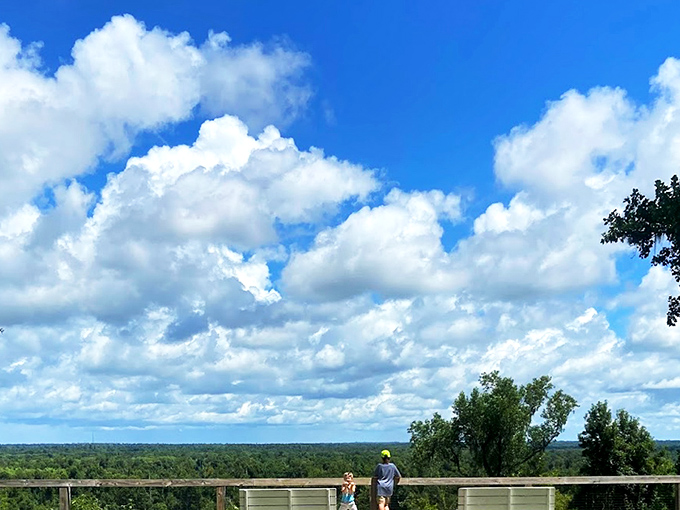 1. this picturesque state park in florida is one of the state's best kept secrets