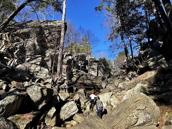 Nature's own grand canyon in miniature, where towering granite walls create a dramatic corridor that makes you feel wonderfully small in the best possible way.