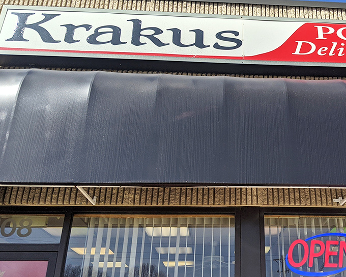 The iconic Polish eagle and bold "Kiełbasa" sign announce your arrival at this culinary embassy. No passport required, just an appetite.