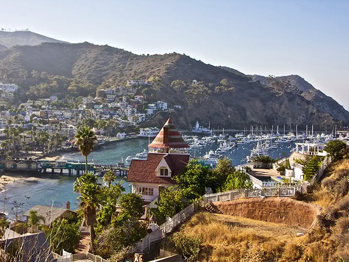 Avalon's hillside homes cascade toward the harbor like a Mediterranean village that somehow drifted across the Atlantic and Pacific, landing perfectly off California's coast.