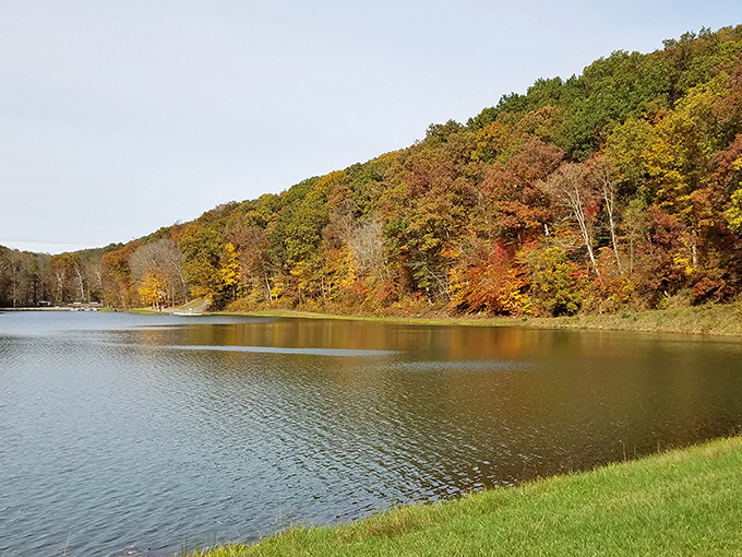 Mirror, mirror on the lake&mdash;Pine Lake's glass-like surface perfectly captures Ohio's rolling hills, creating nature's most spectacular double feature.