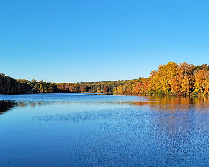 Mother Nature's mirror game is unbeatable at Hopewell Lake, where autumn trees preen at their own reflection like celebrities checking their makeup.