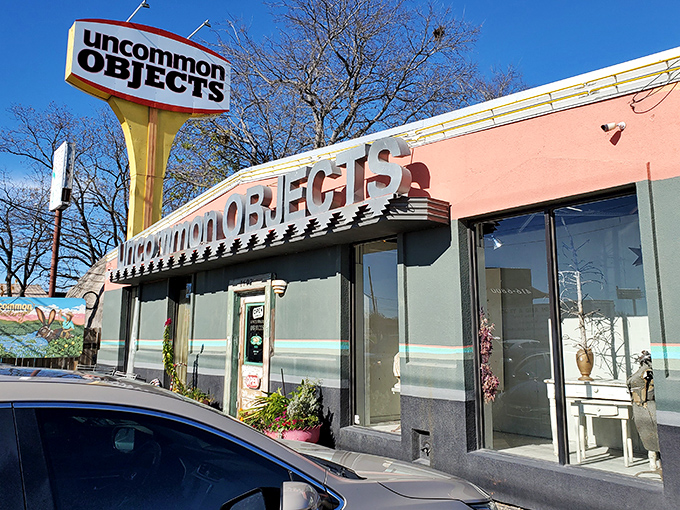 The unassuming exterior of Uncommon Objects belies the wonderland within. Pink planters and a weathered door serve as the portal to Austin's most eccentric treasure trove.