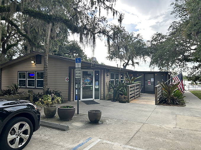 Tucked beneath Spanish moss-draped oaks, this unassuming BBQ haven proves that culinary greatness often hides in plain sight.