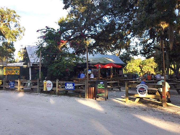 1. this rustic riverside restaurant in florida serves up the best gator bites you&rsquo;ll ever taste