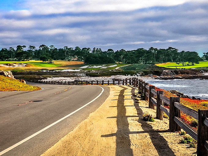 Where ocean meets fairway: 17 Mile Drive's winding coastal road offers the kind of views that make convertible owners feel smugly validated in their purchase.