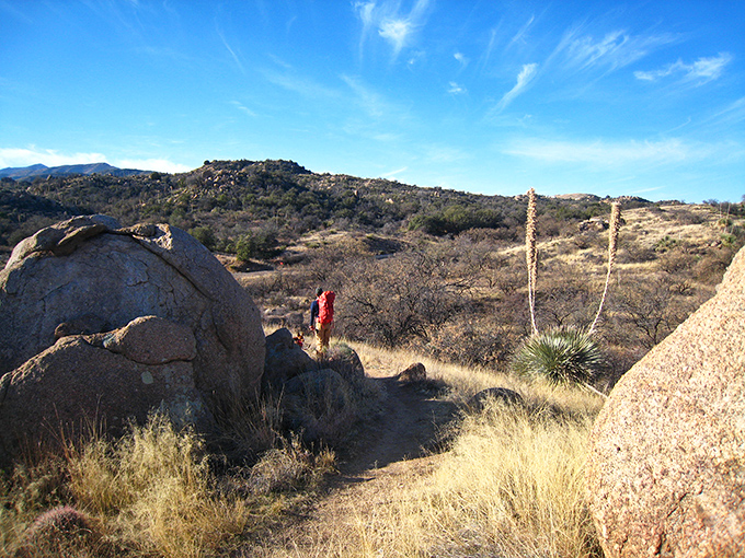The winding trails of Oracle State Park beckon like nature's invitation card. Those mountains aren't just scenery—they're your next adventure waiting to happen.