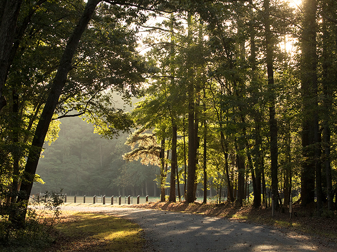 A wooden dock stretches into mirror-like waters, autumn's palette reflected perfectly. Nature's own infinity pool, Delaware-style.