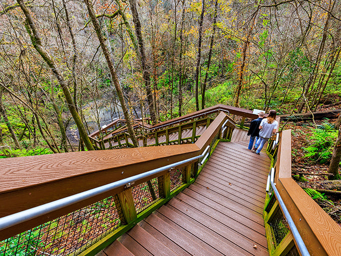 The wooden staircase descends like something from a fairy tale, winding its way through lush greenery into nature's own secret basement apartment.