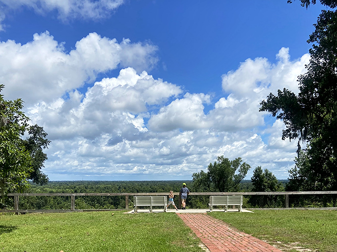 The view that makes you question if your GPS is broken. Florida's not supposed to have landscapes like this, yet here we are!