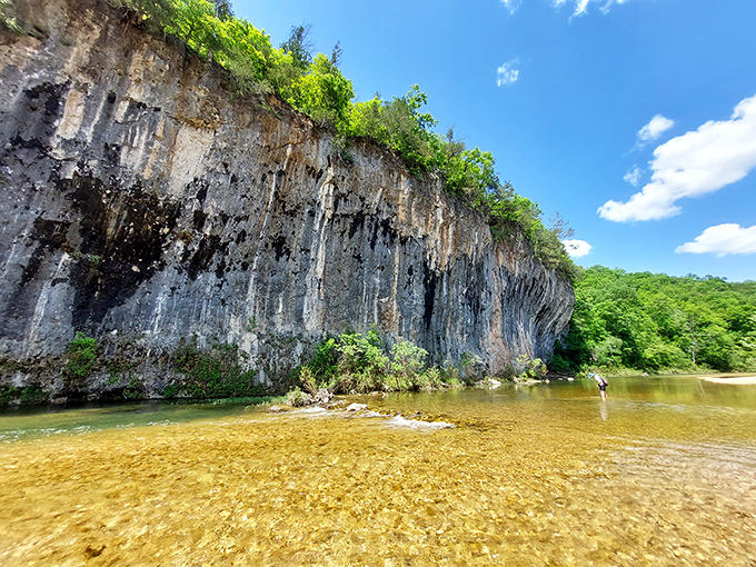 Nature's skyscraper! The towering limestone bluff reflects perfectly in Sinking Creek's crystal waters, creating a mirror image that no Instagram filter could improve.