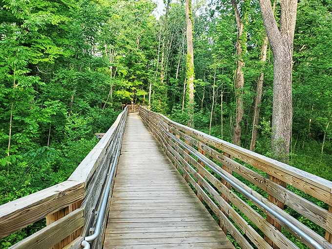 Mirror-like waters reflect autumn's fiery palette at Punderson Lake, where nature doubles its show for free. Mother Nature showing off again! 