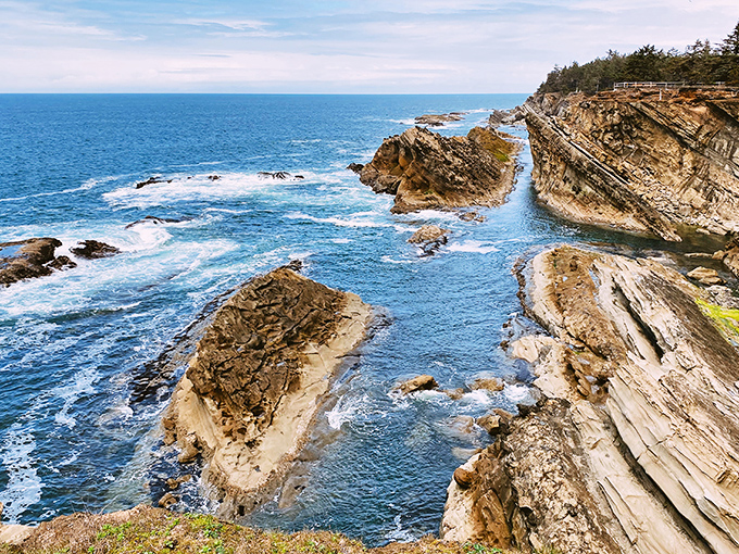 The welcoming entrance to Shore Acres State Park, where towering evergreens stand guard over one of Oregon's best-kept coastal secrets.