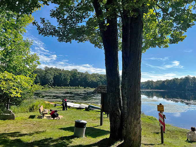Nature's perfect balancing act: tranquil waters mirror the sky while towering trees stand guard. This lakeside spot practically begs you to unplug and breathe.
