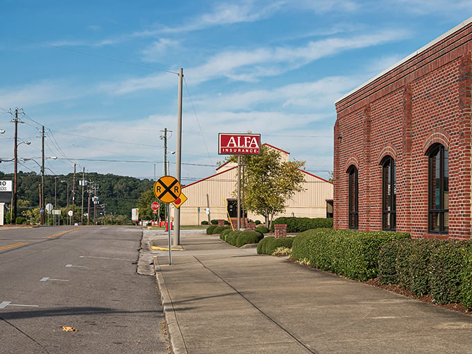 Broad Street stretches into the distance like a Norman Rockwell painting come to life, where autumn trees frame historic storefronts under Alabama's impossibly blue sky.