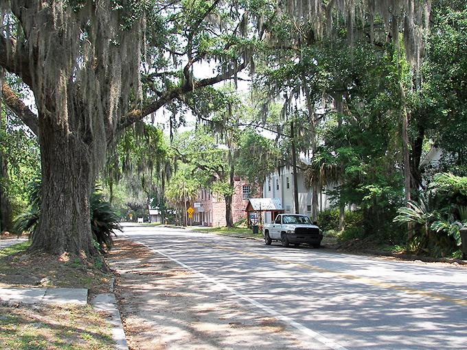 Those Spanish moss-draped oaks aren't just trees&mdash;they're time machines, whispering stories of old Florida while providing nature's perfect canopy.