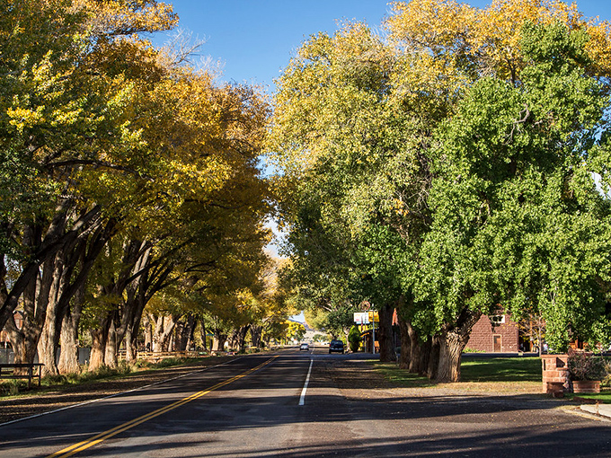 The cottonwood corridor of Torrey welcomes you like nature's cathedral. Sunlight filters through the leafy canopy, creating a dappled pathway to adventure.