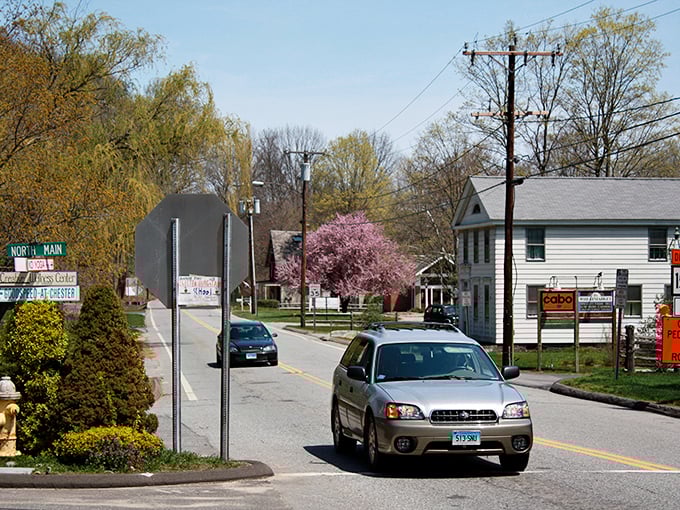 Sun-drenched streets invite you to enjoy a peaceful drive past blooming trees and charming local shops on a beautiful afternoon.