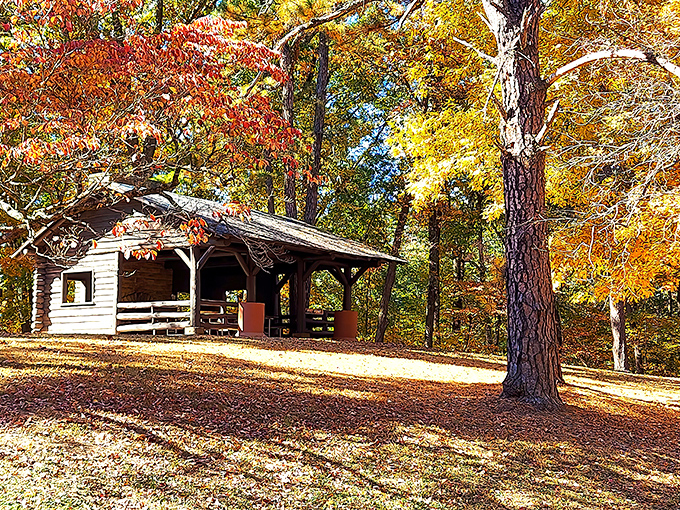 Rustic cabin perfection amidst autumn's grand finale &ndash; when Mother Nature decides to show off her entire color palette at once.